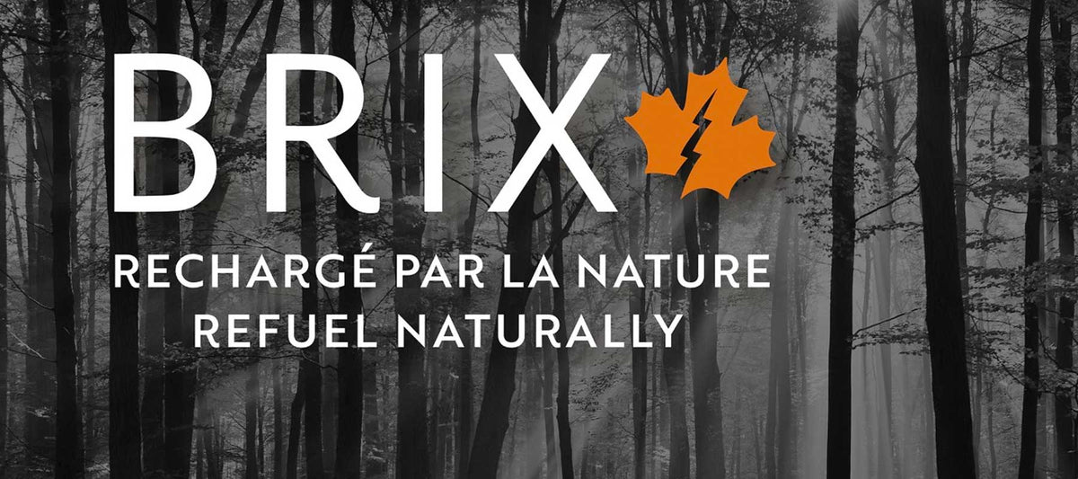Brix - Energy gels and bars - Maple electrolytes – Soccer Sport Fitness